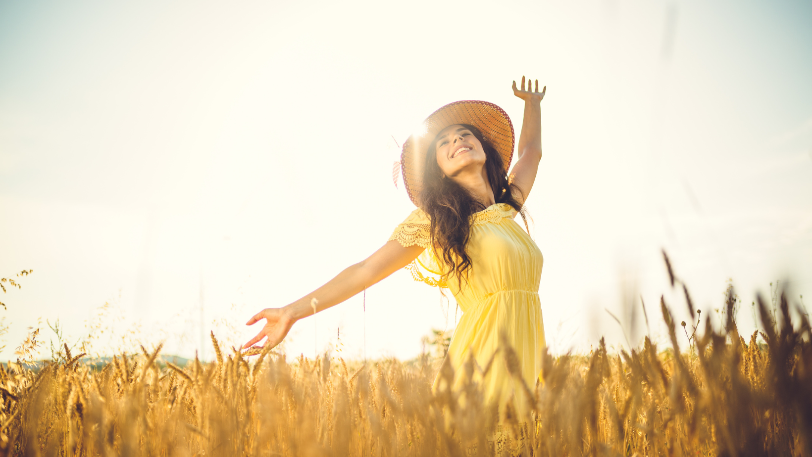 Wellness Programs – Bodhaya